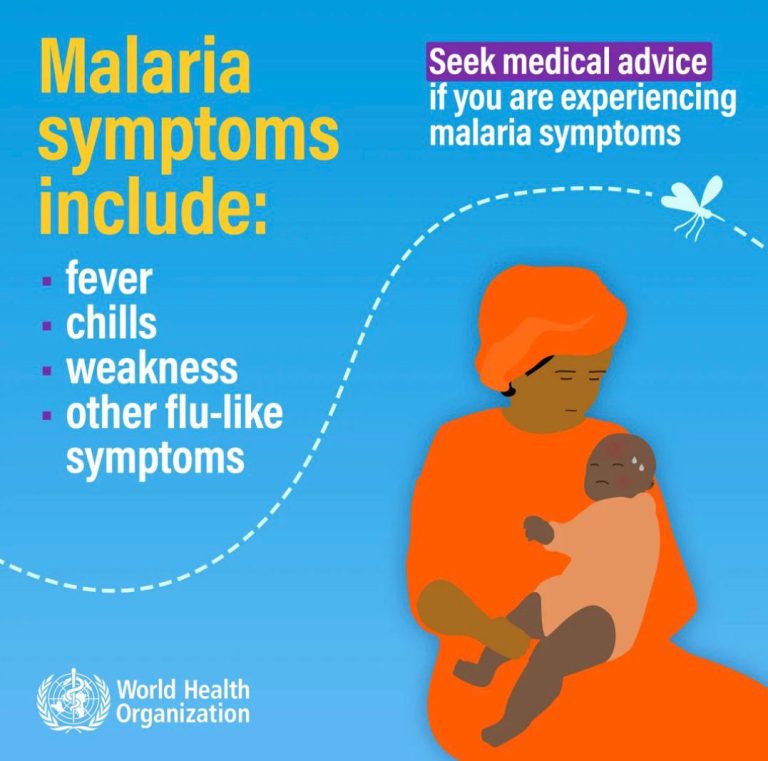 Gauteng records surge in Malaria cases and deaths – Y WORLD